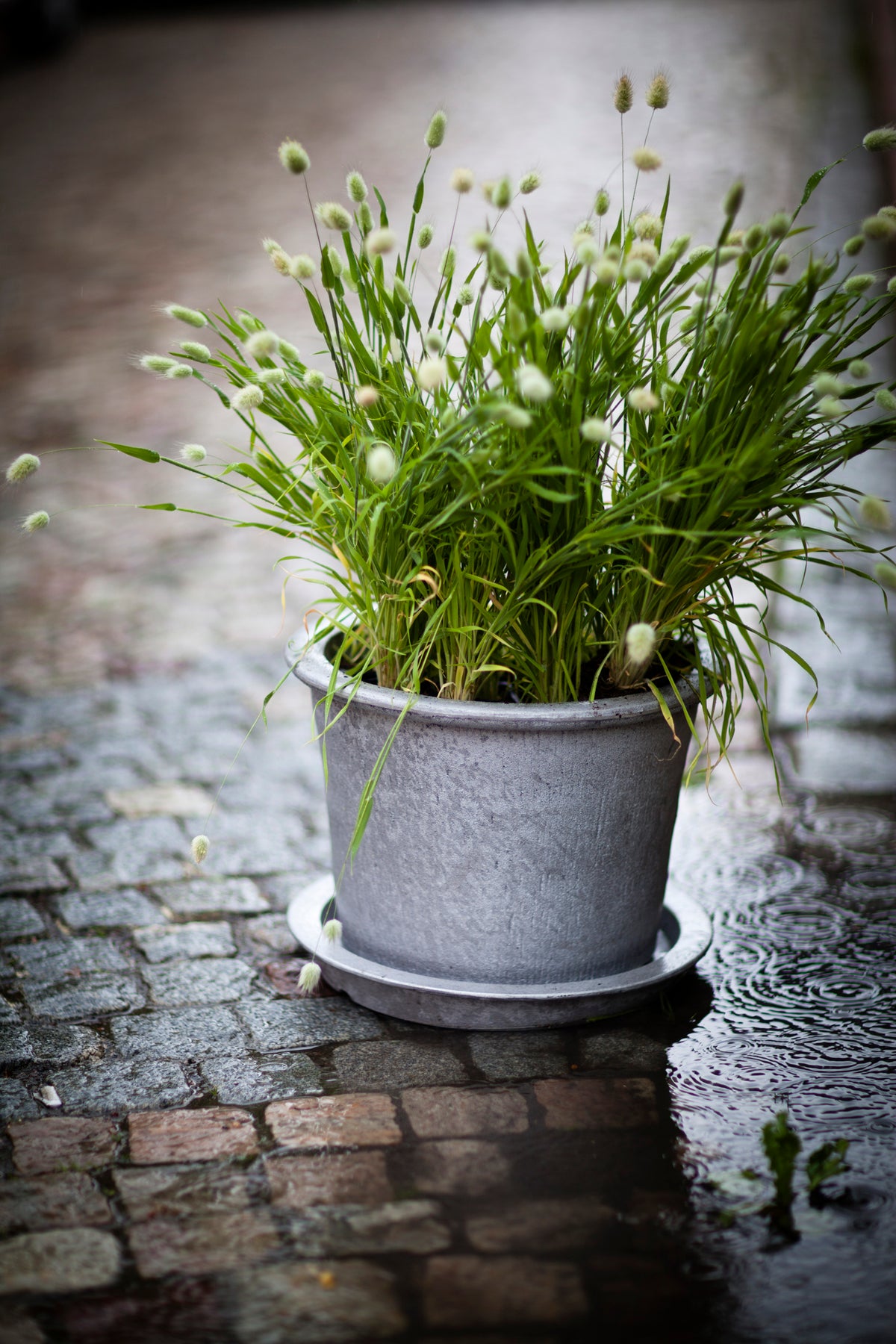 Cilla & Cilla Fat – Byarums bruk