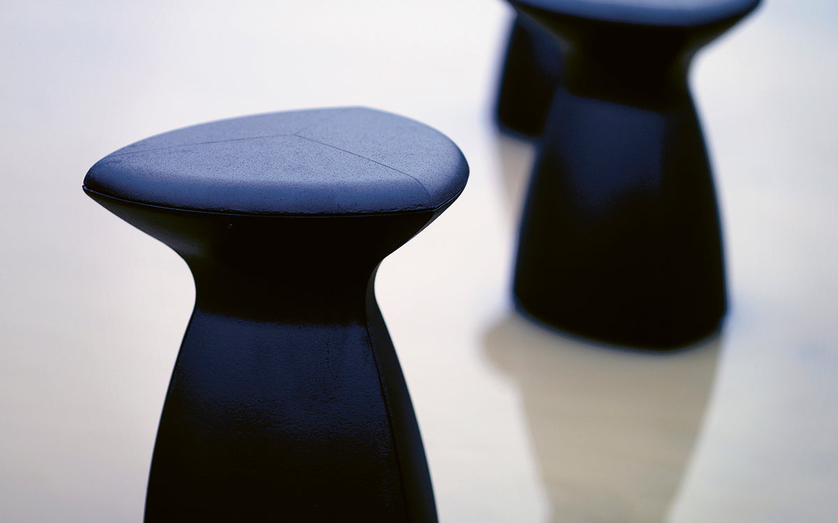 Fungi – Byarums bruk